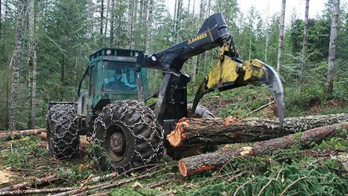 Challenges and opportunities as timber processing industry grows