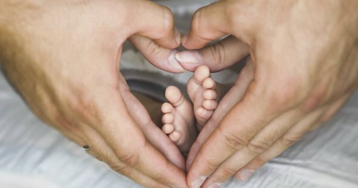 No appetite to uncover scale of illegal adoption scandal