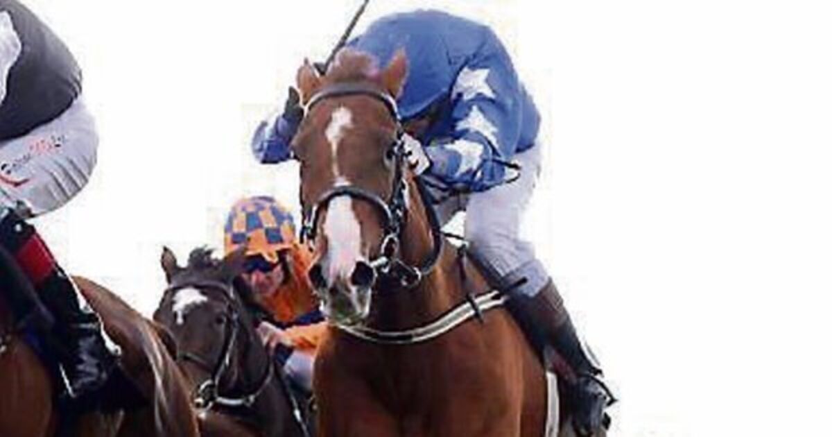 Trio entitled to share of racehorse, rules court