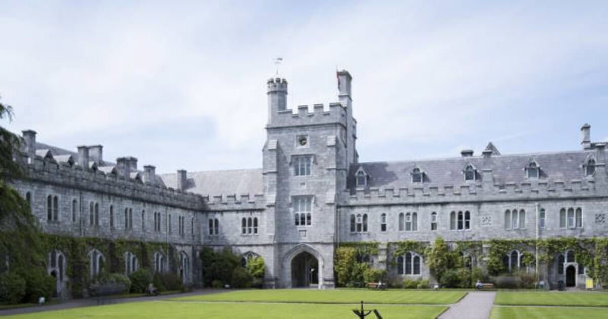 Irish Examiner and UCC to host CAO offers Q&A