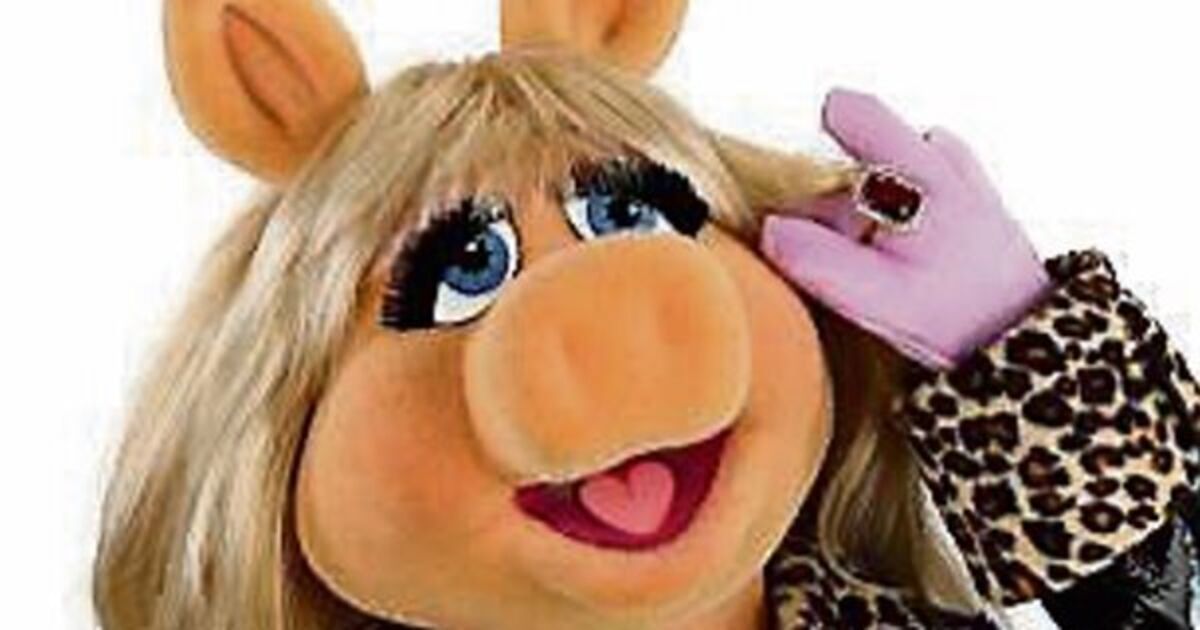 QUIRKY WORLD ... Feminist award is one in the sty for male chauvinist pigs