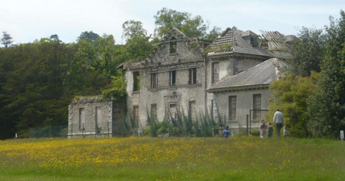 Kilmacurragh Arboretum is a Noah’s Ark for our native wild flowers