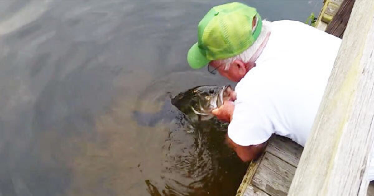 Man catches big fish with bare hands