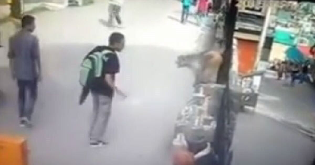 Kid taunts monkey, monkey attacks kid