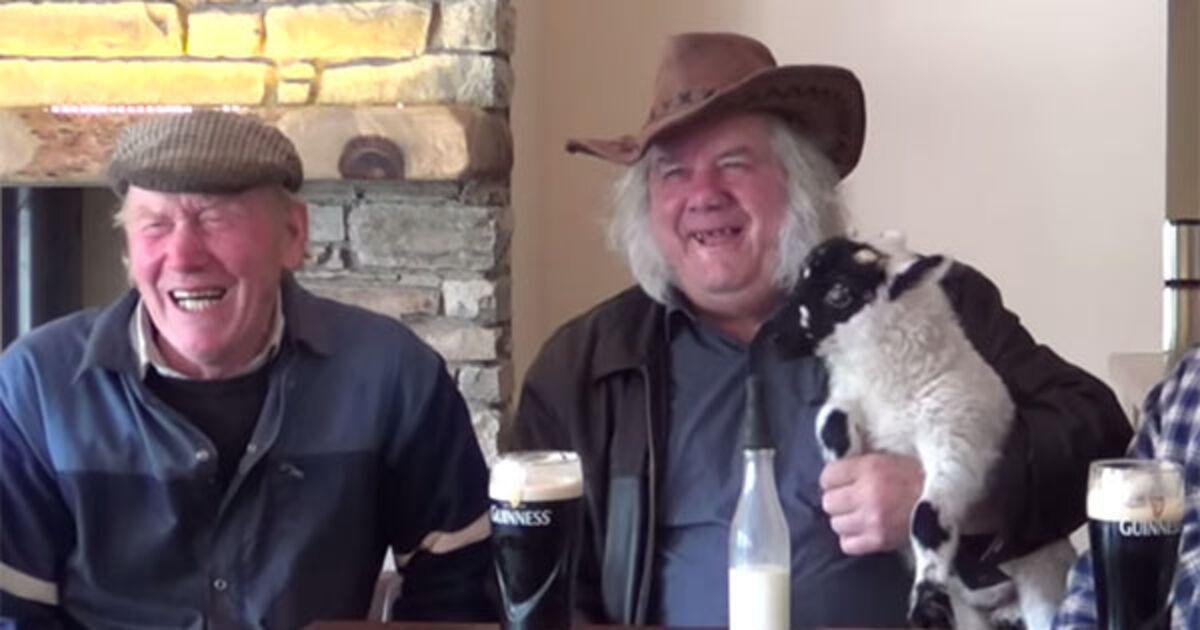 VIDEO: Who remembers these characters from the Top of Coom?