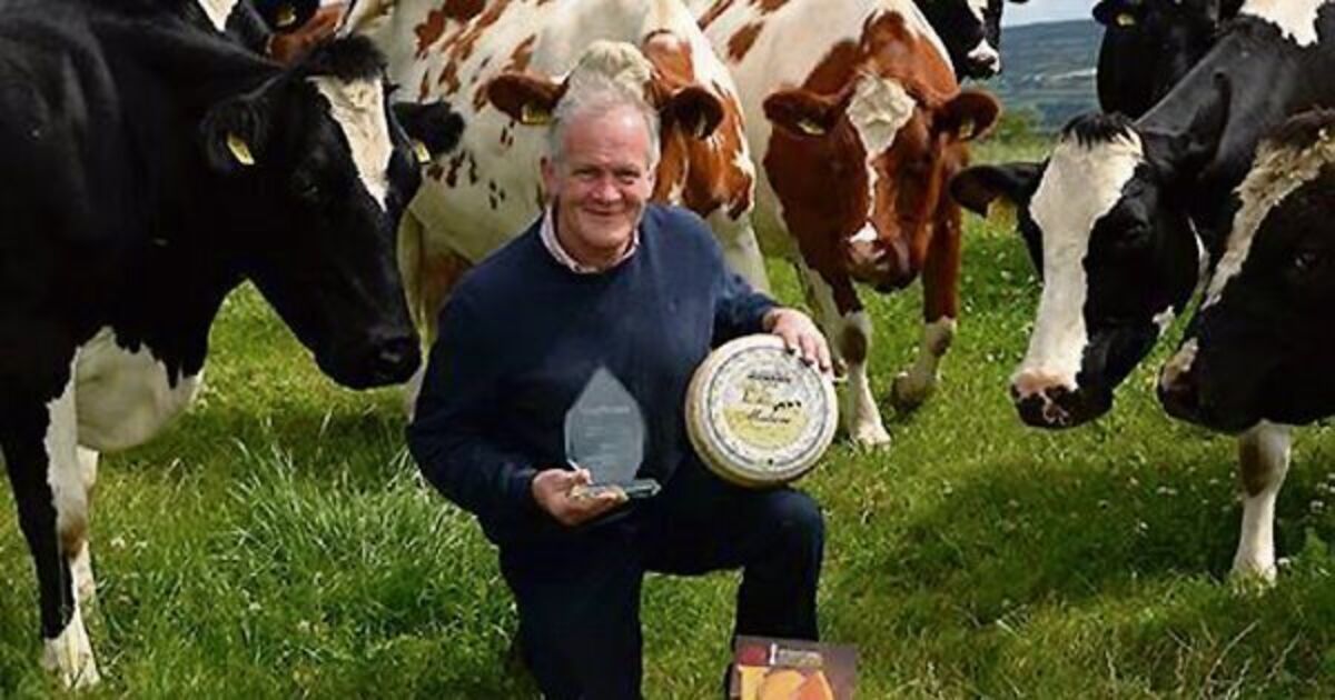 Mossfield becoming a big cheese