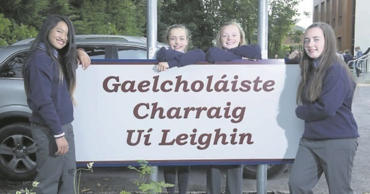 Success of junior cycle reform will need to be assessed