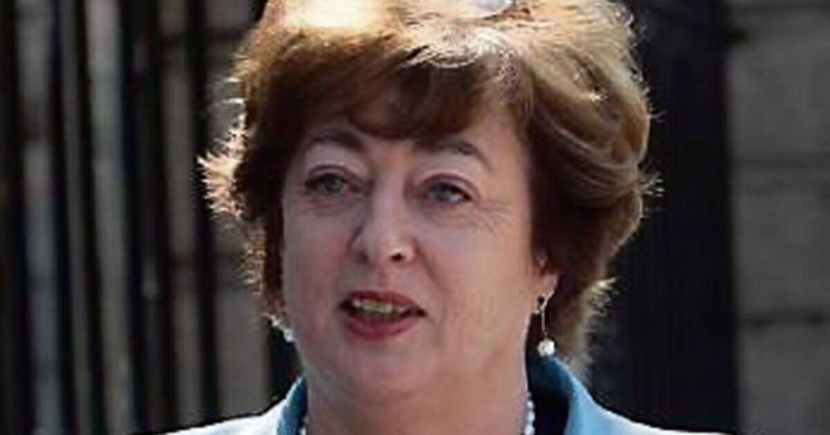 Female TDs celebrate breakthrough election as 35 women take seats in ...