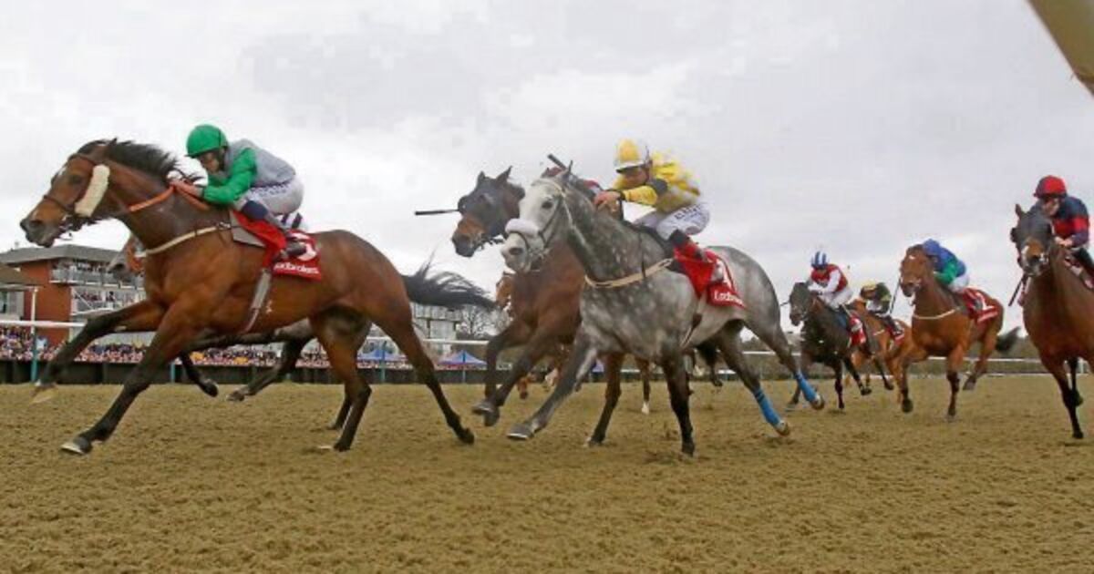 Tryster stars in horse racing thriller