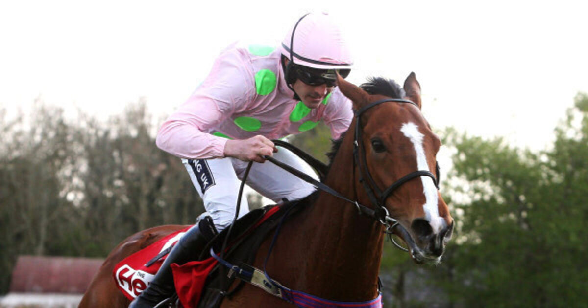 Faugheen can confirm his superstar status in Champion Hurdle