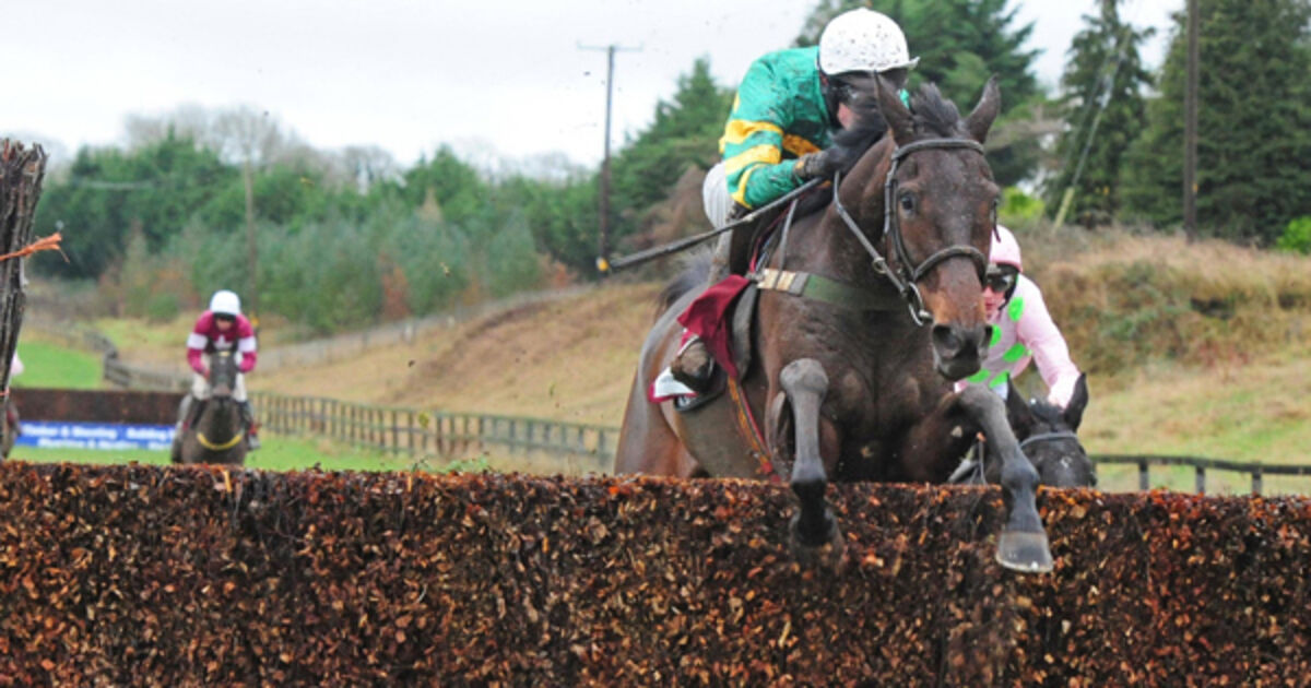 Enda Bolger faces a real task to get Gilgamboa back to his promising best