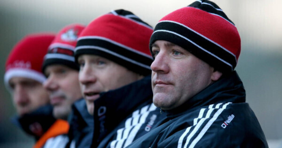 Cork can answer critics, insists Dave Barry