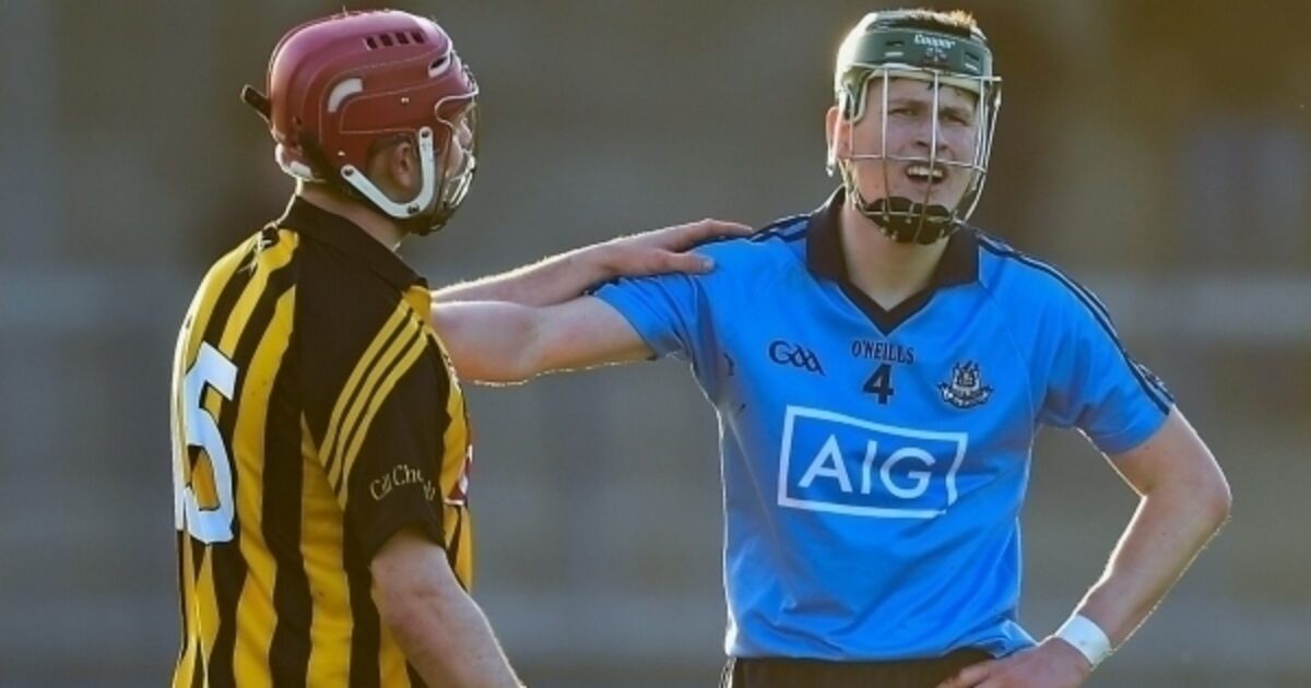 Kilkenny call on Enda Morrissey and Brian Troy for Leinster semi-final