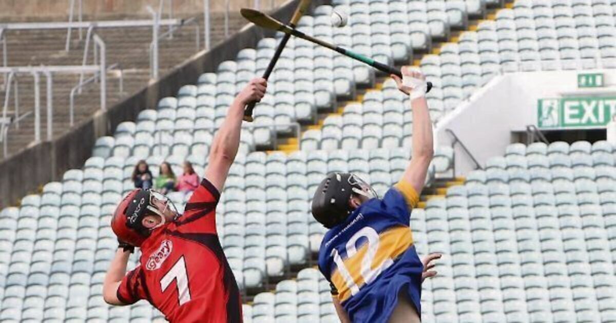 All’s Well as Ciarán Carey eyes final