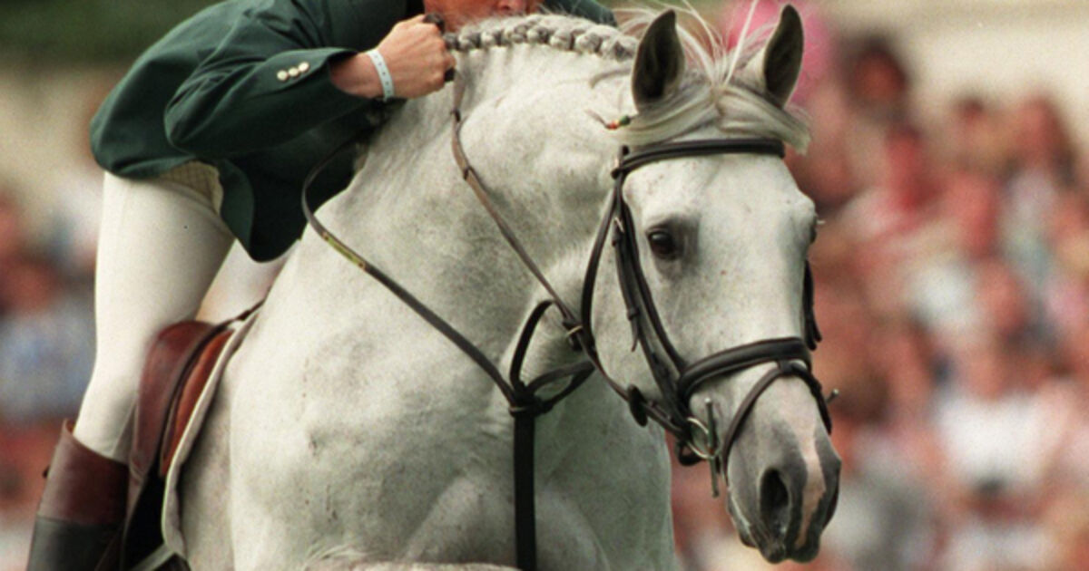 Clones set to feature in Irish horse breeding