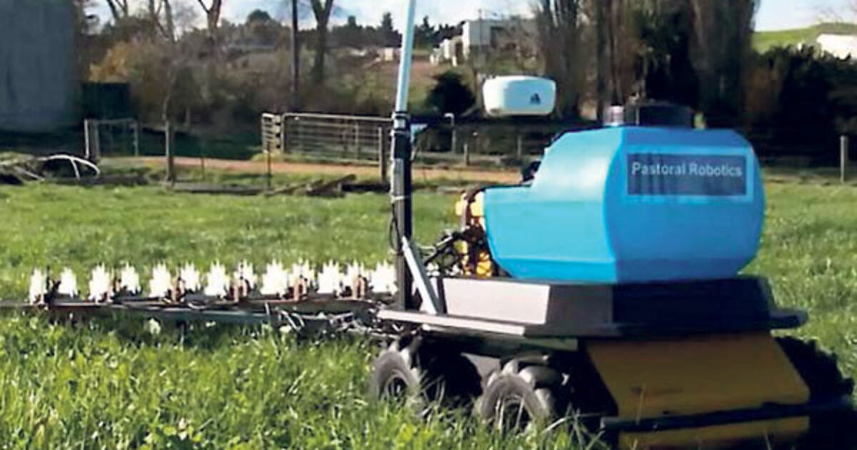 Mini-Me robot deployed in NZ battle against urine patches