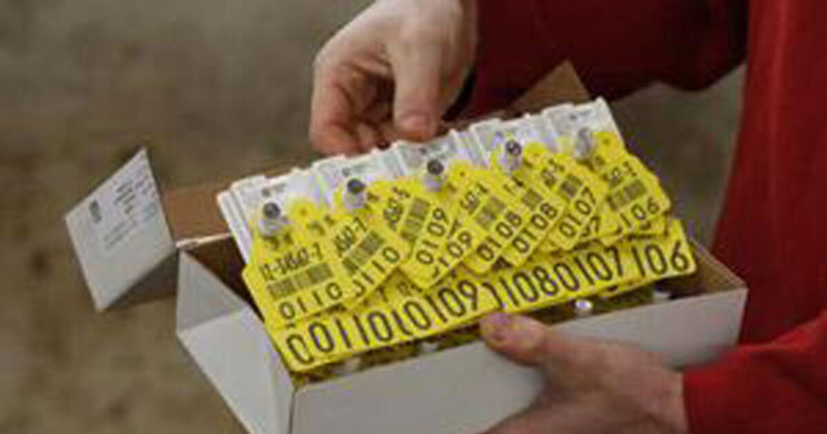 Same tag for BVD and BDGP on way