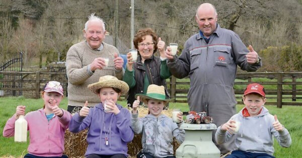 Joe Sheehy: Dairy Focus - Farmers can’t borrow heavily