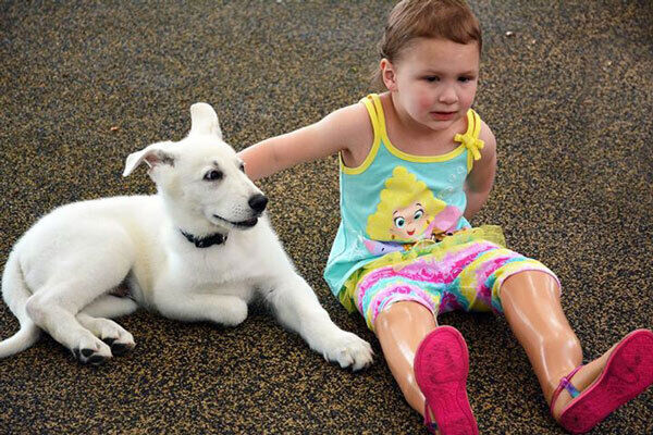Toddler born without feet gets a puppy born without a paw