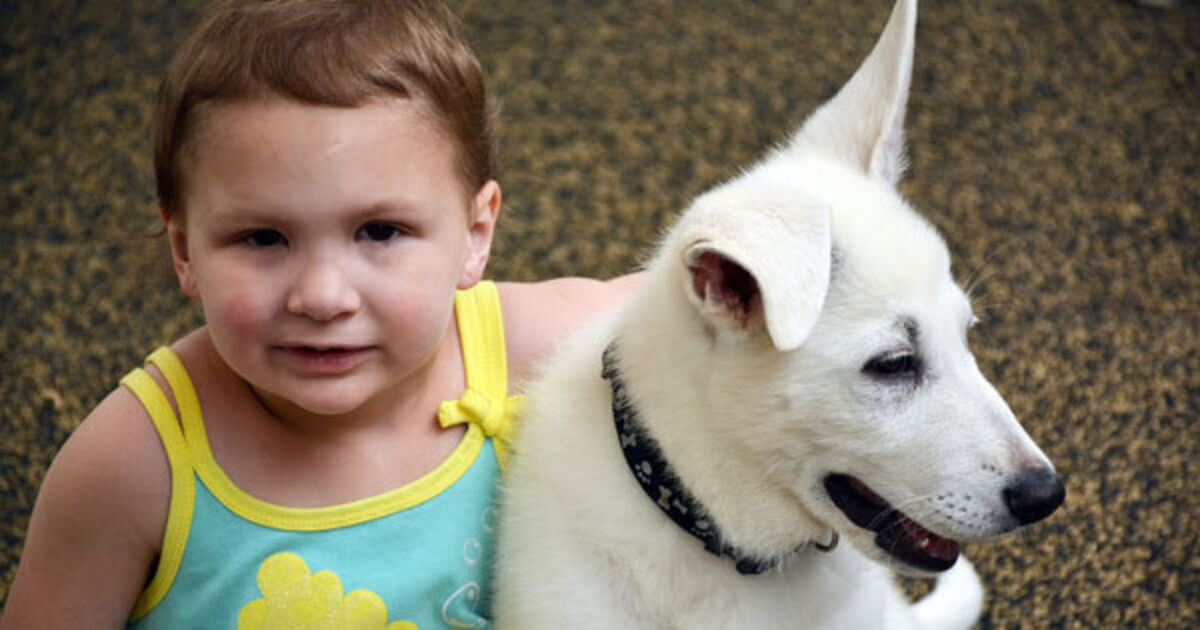 Toddler born without feet gets a puppy born without a paw