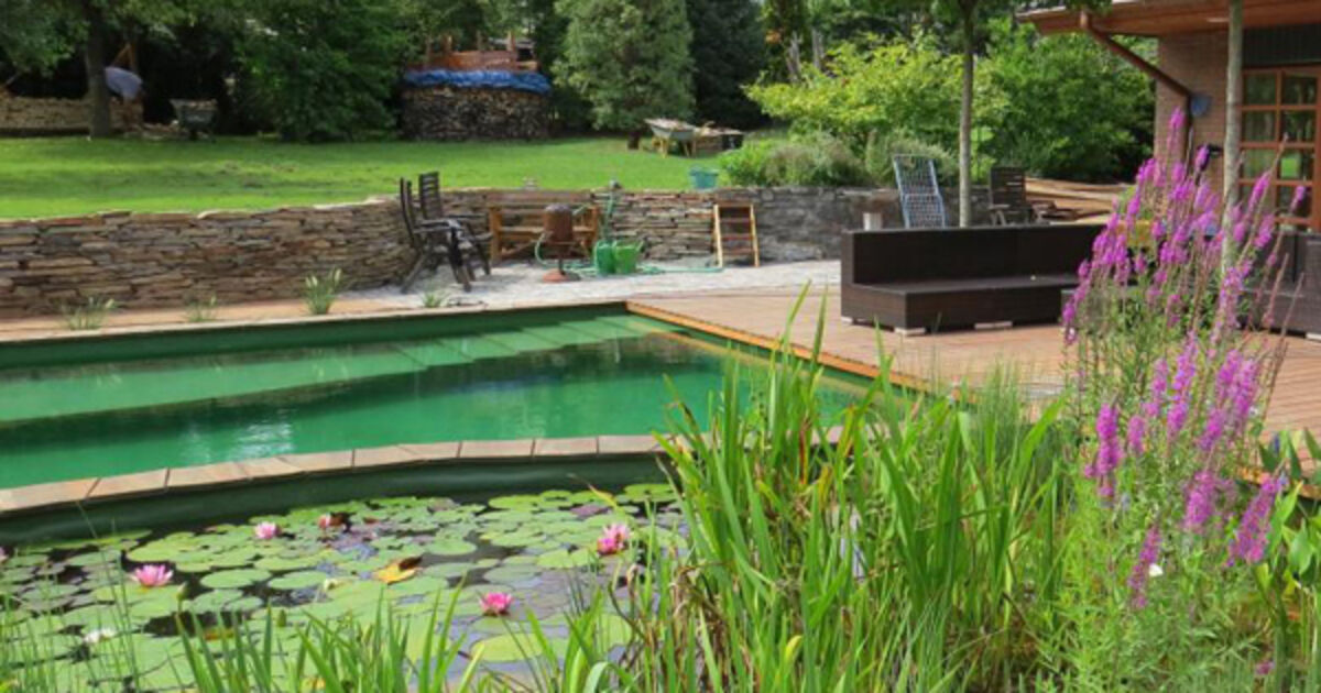 Natural swimming pools and ponds are making a splash in the UK and ...