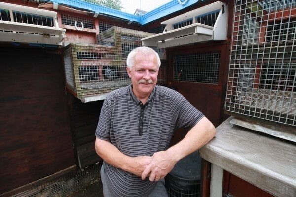 VIDEO: Pigeon racing is flying high in Ireland