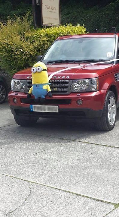 Couple get married in Minion-style wedding