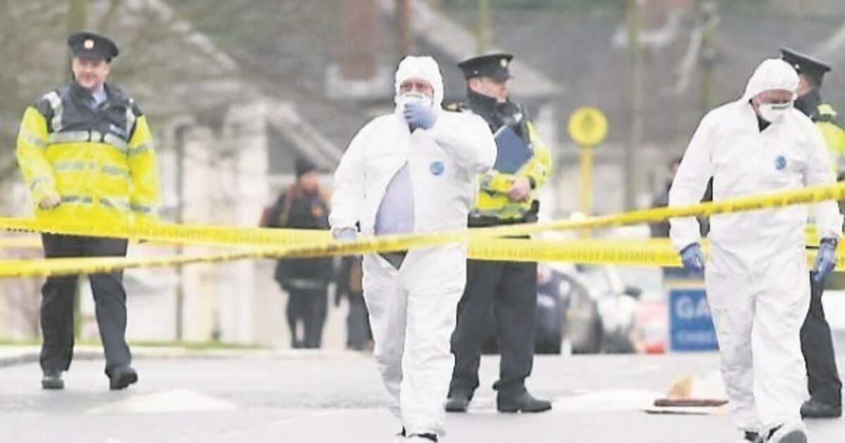 Forensic scientists work in ‘wholly inadequate’ facilities