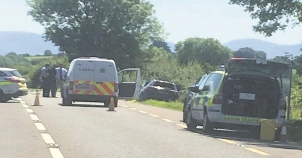 Limerick crash: ‘Give the families time to grieve’