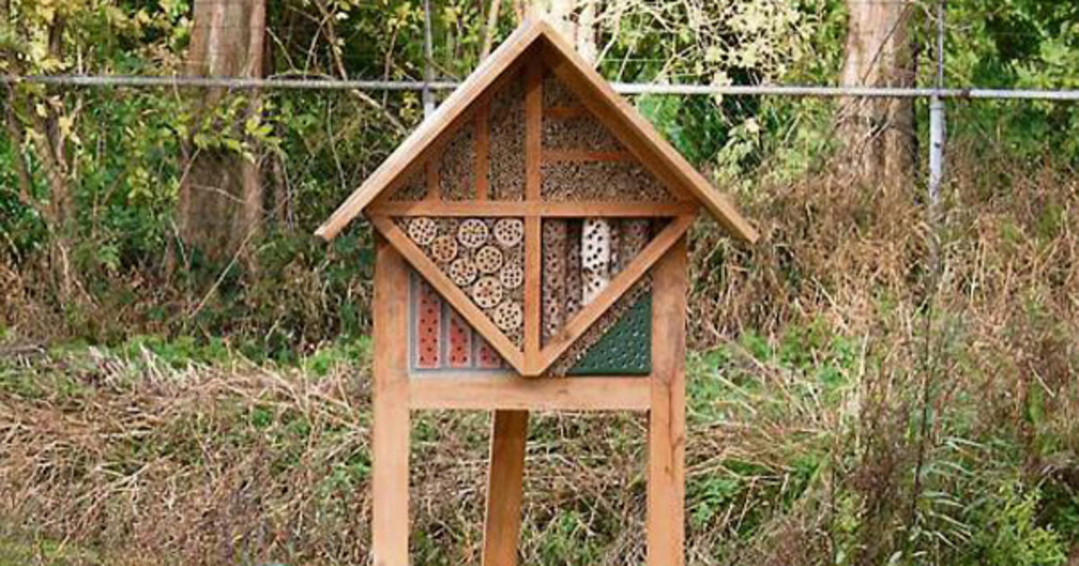 It's much cheaper and more satisfying to build your own insect hotel