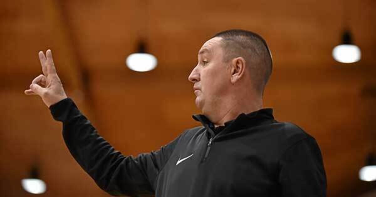 Mark Scannell: Irish basketballers courting Europe once again