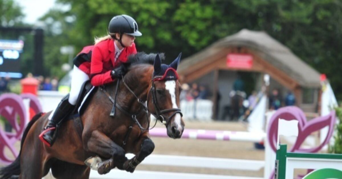 John Ledingham hints he may throw his hat in ring for Irish manager job