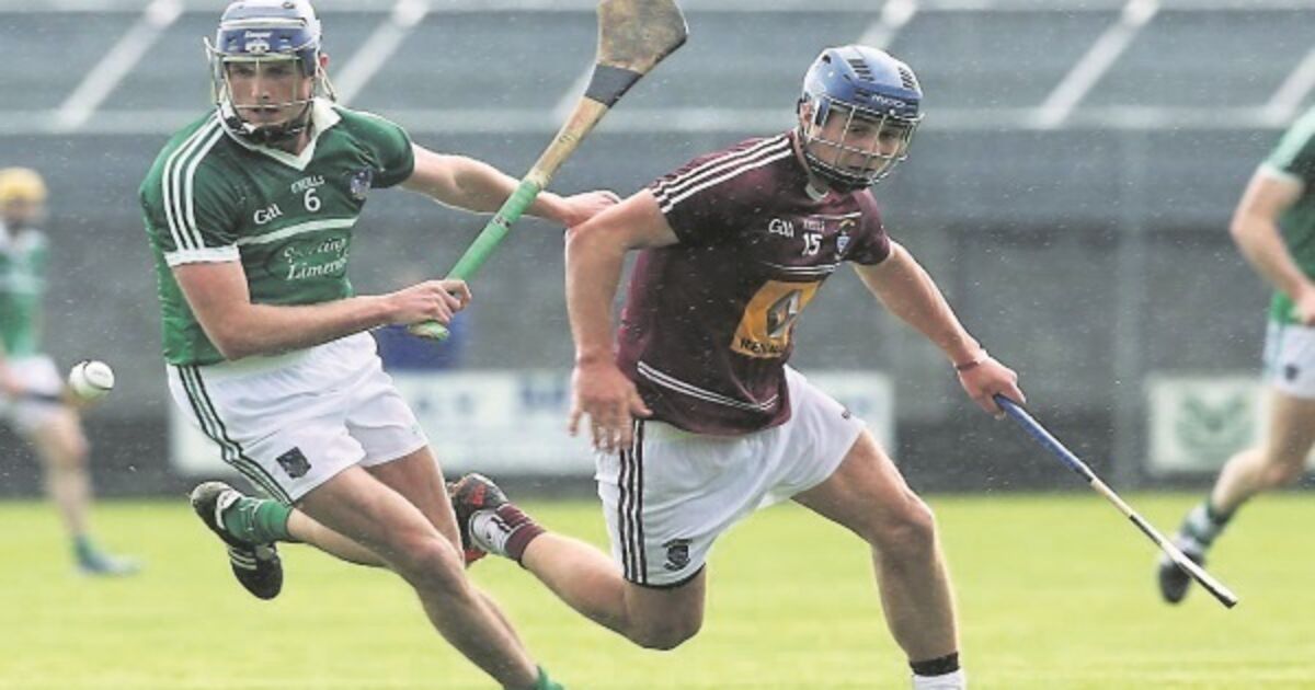 Success all about getting back to basics, says Limerick’s Gavin O’Mahony