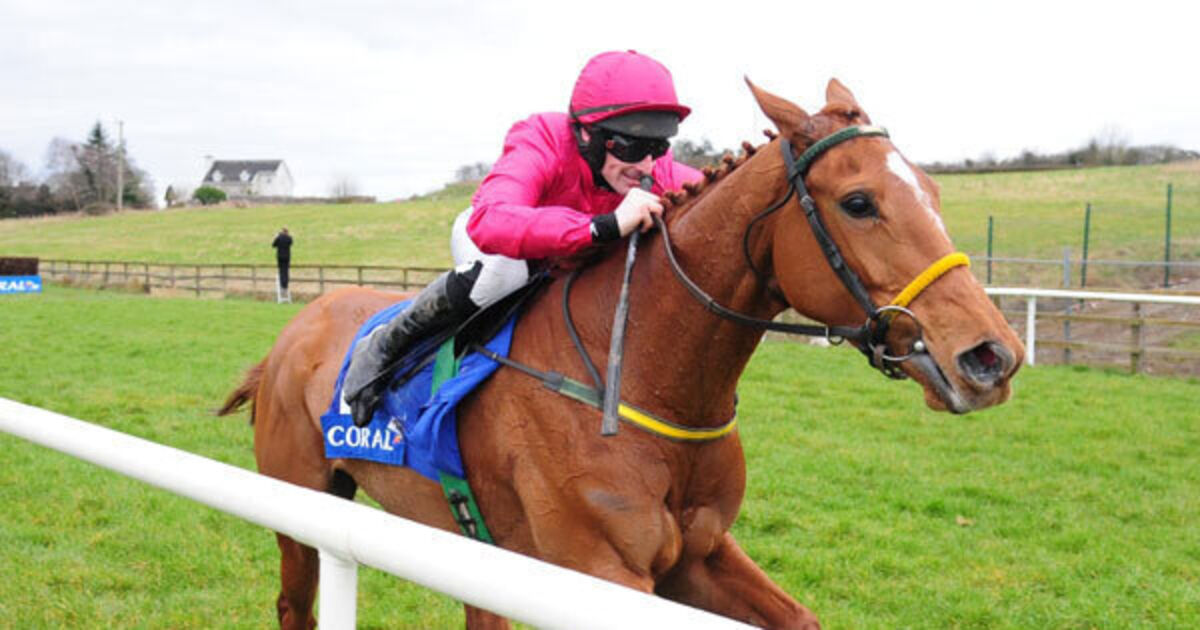 Bonny Kate boosts Grand National hopes with Limerick win