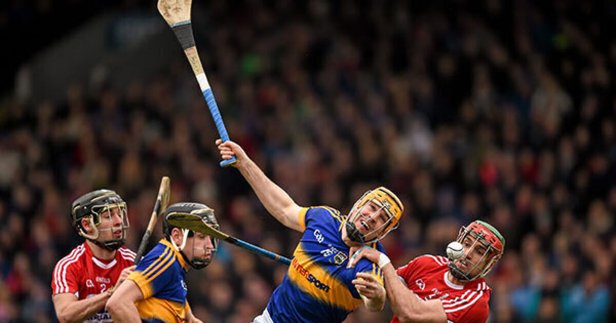 Declan Fanning: Determined Seamus Callanan showed character after All ...
