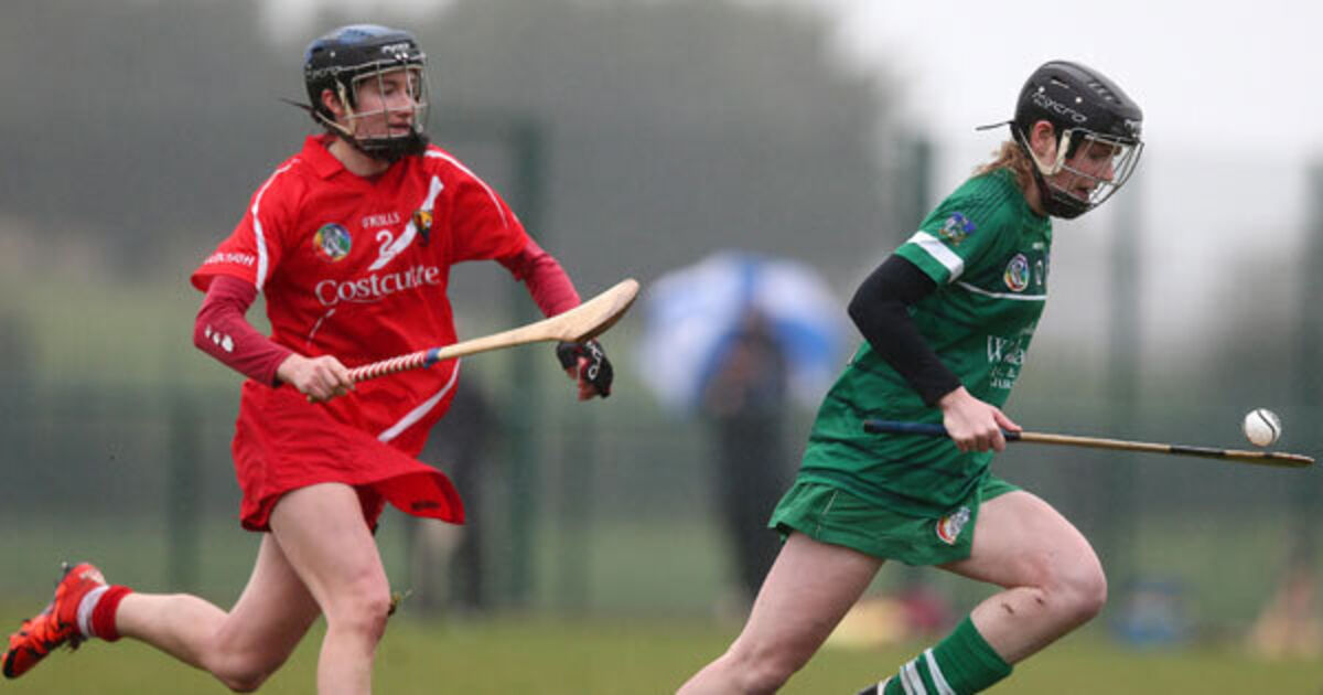 Mackey gene still thriving for Limerick camogie