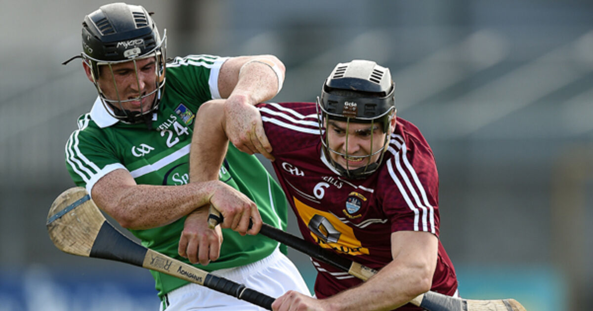 TJ Ryan happy as ‘professional’ 14-man Limerick survive