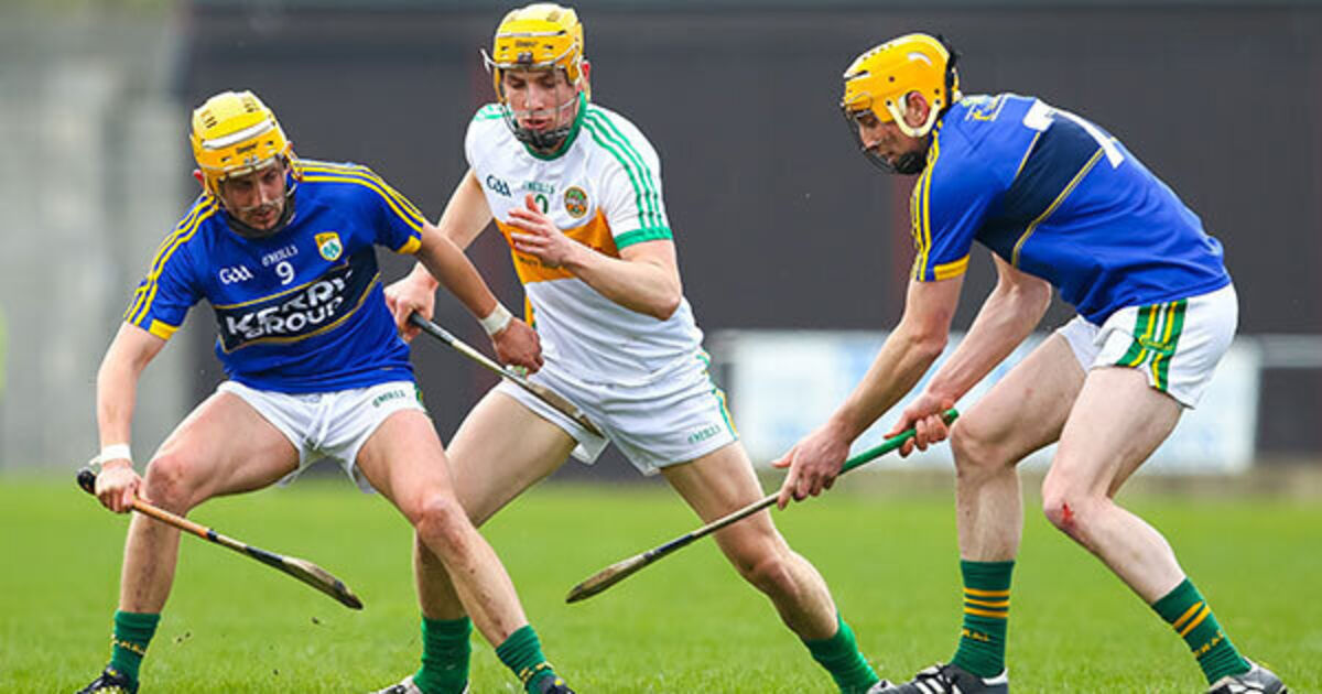 John Egan: League displays show Kerry hurling on upward curve
