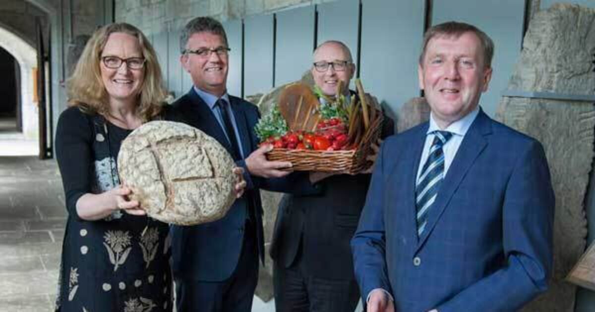 TD Michael Creed: Agriculture at core of Government’s rural plan