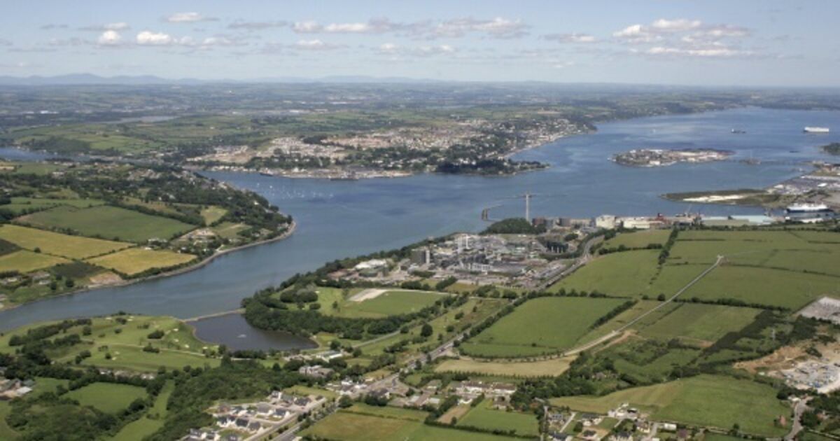 Indaver to resubmit application for €160m incinerator in Ringaskiddy