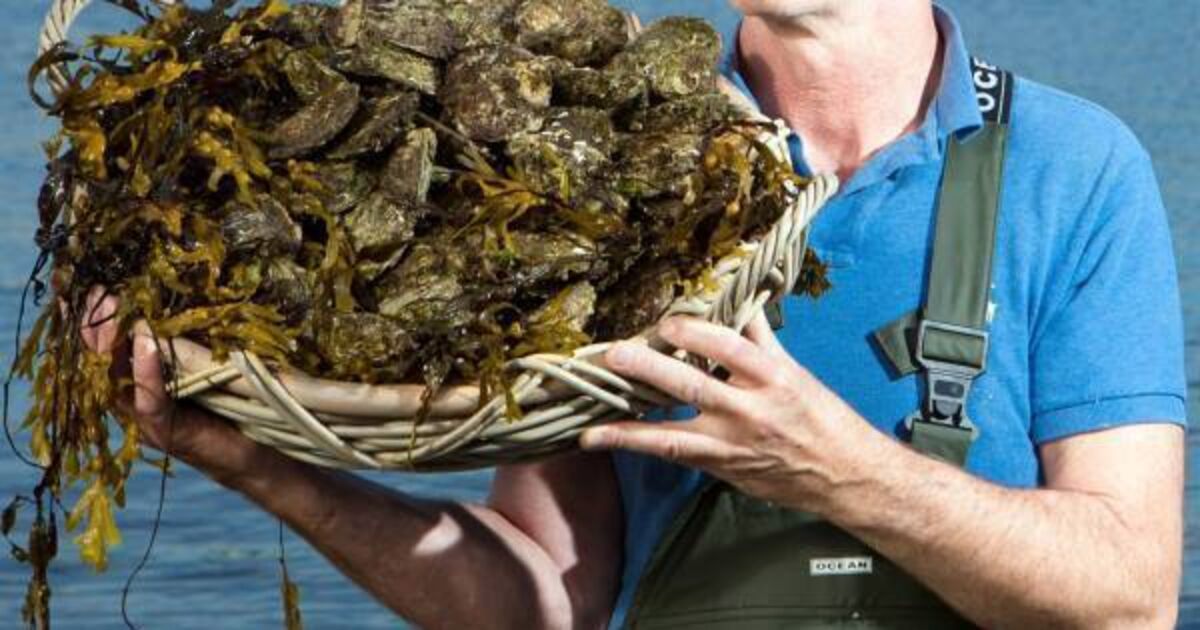 Atlantic Shellfish refused order on mediation