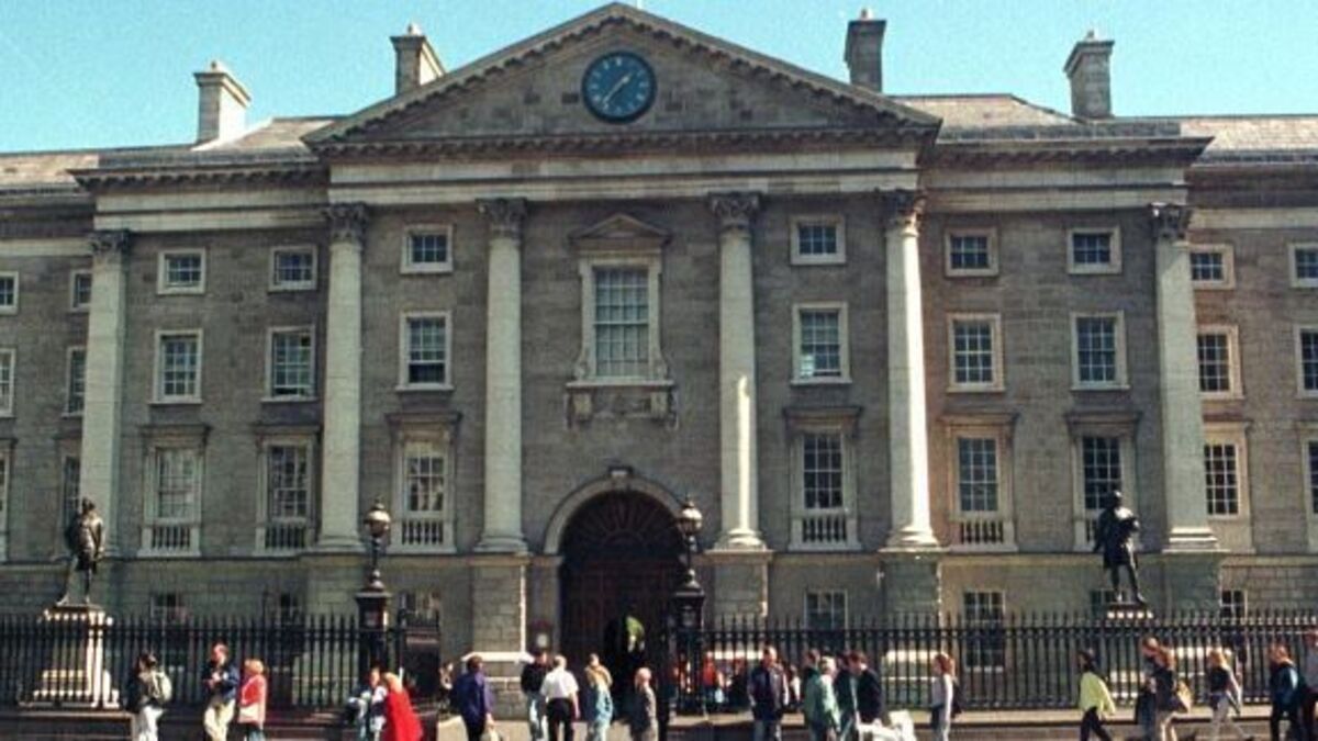 Irish third-level colleges generate €4 for each €1 spent