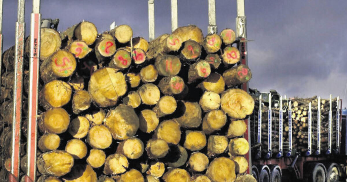 Stephen Cadogan: Foresters and hauliers first to benefit big in changed ...