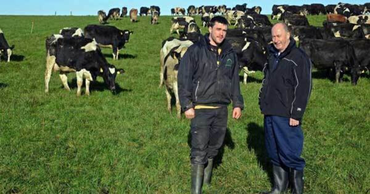 Joe Sheehy: How to cope with common cattle health problems