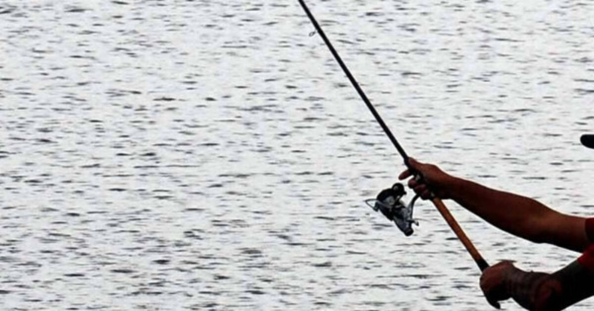 Pollution blamed for huge fish kill in Cork