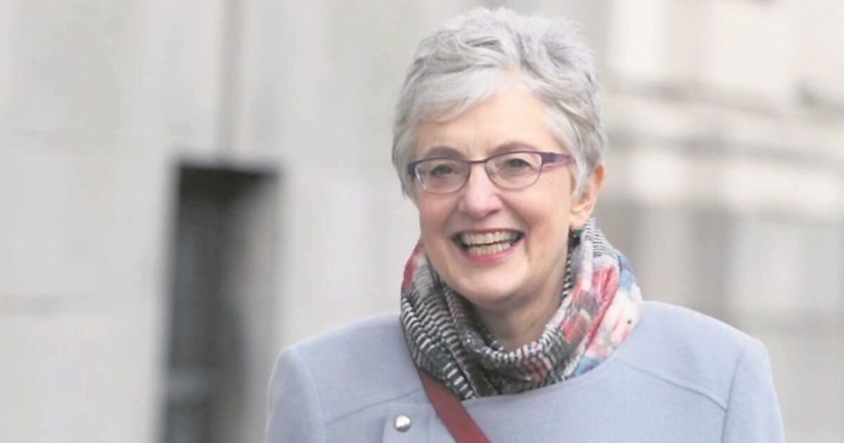 Katherine Zappone proposes planned Dáil committee to discuss abortion