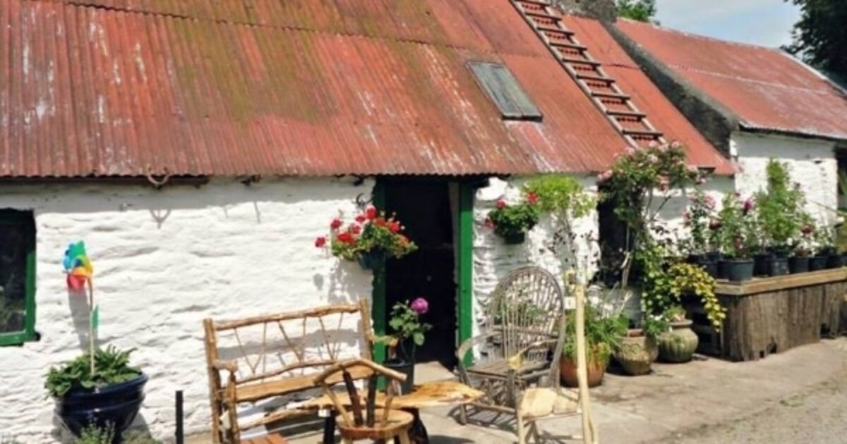 Plant your own grand garden designs