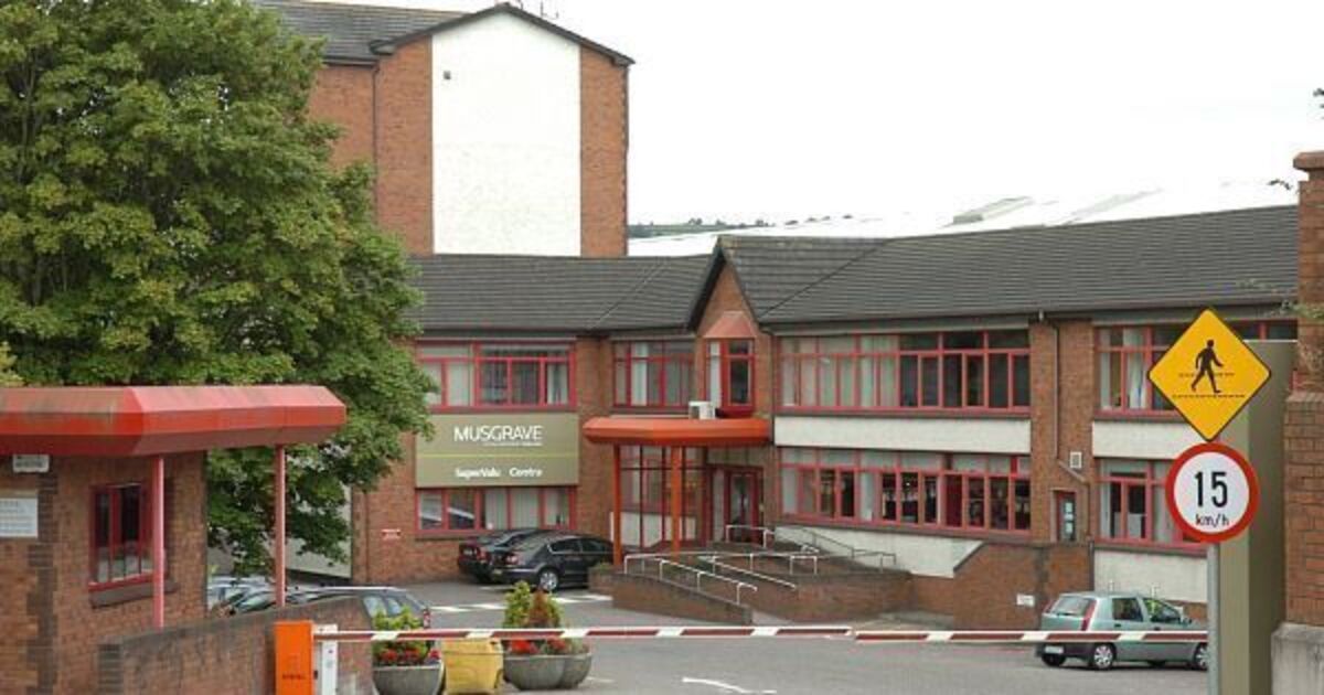 Musgrave: Deal to sell goods via Chinese shopping company is ...