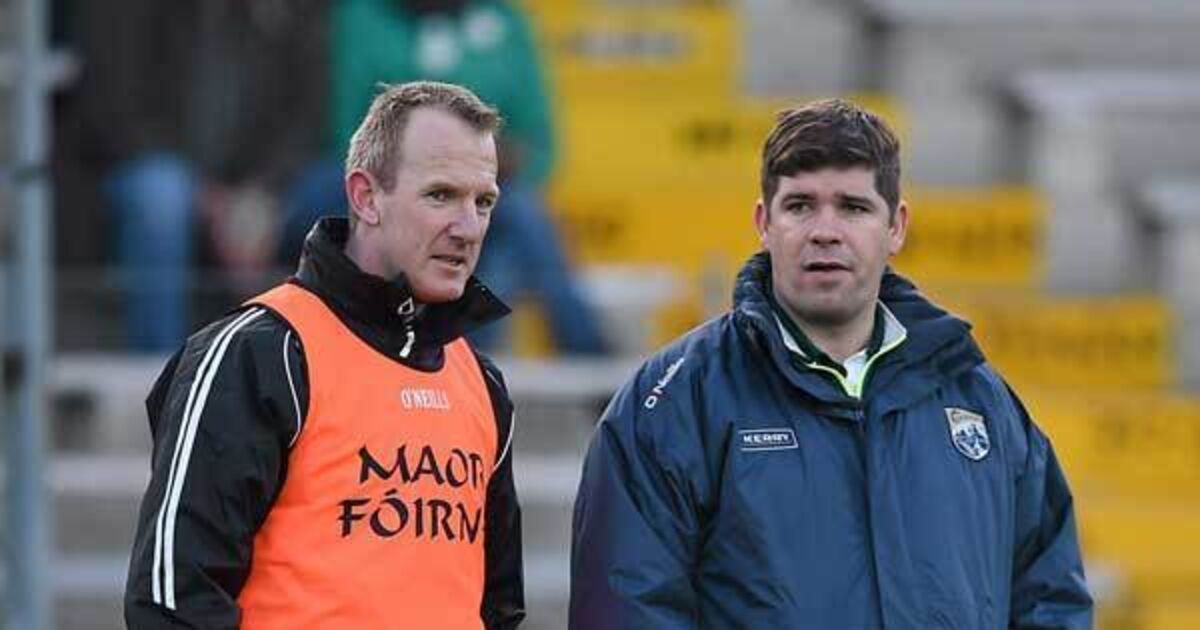 From wild card to trump card: How Liam Hassett is shaking up the Kerry ...