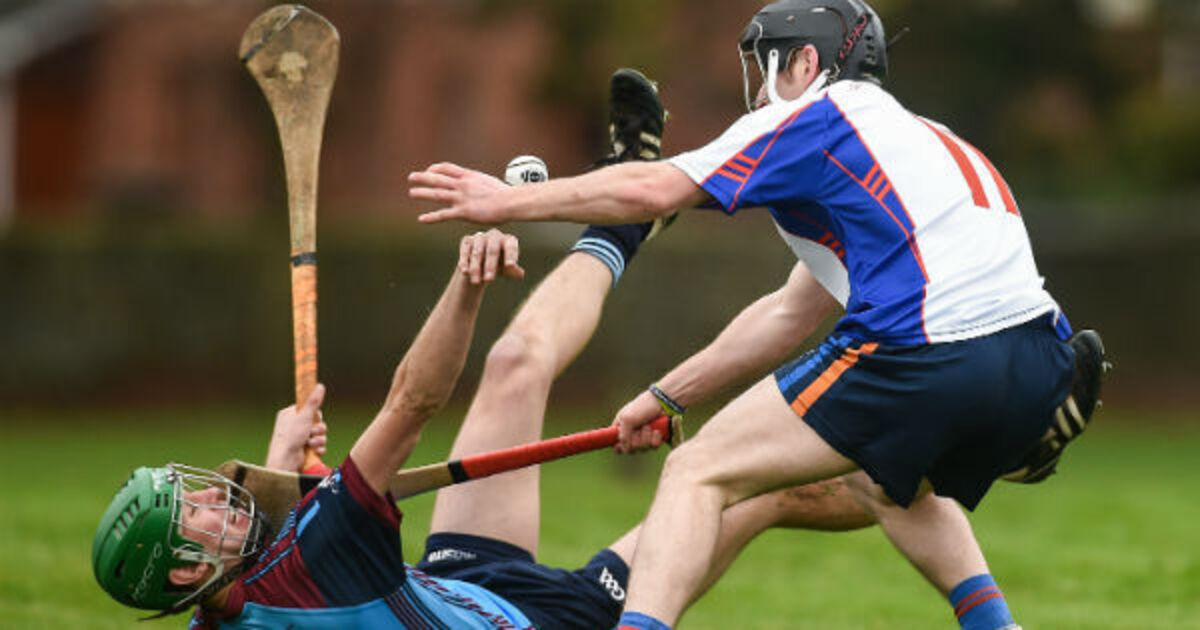 Jamie Wall happy as Mary I show scoring power